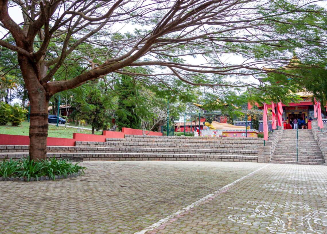 Bichomania Parque Fazenda – Cotia